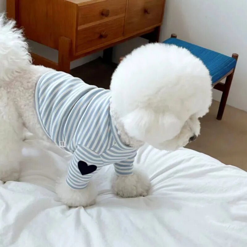 Жилет DOGGYZSTYLE летний для щенков из трикотажного хлопка S, Blue