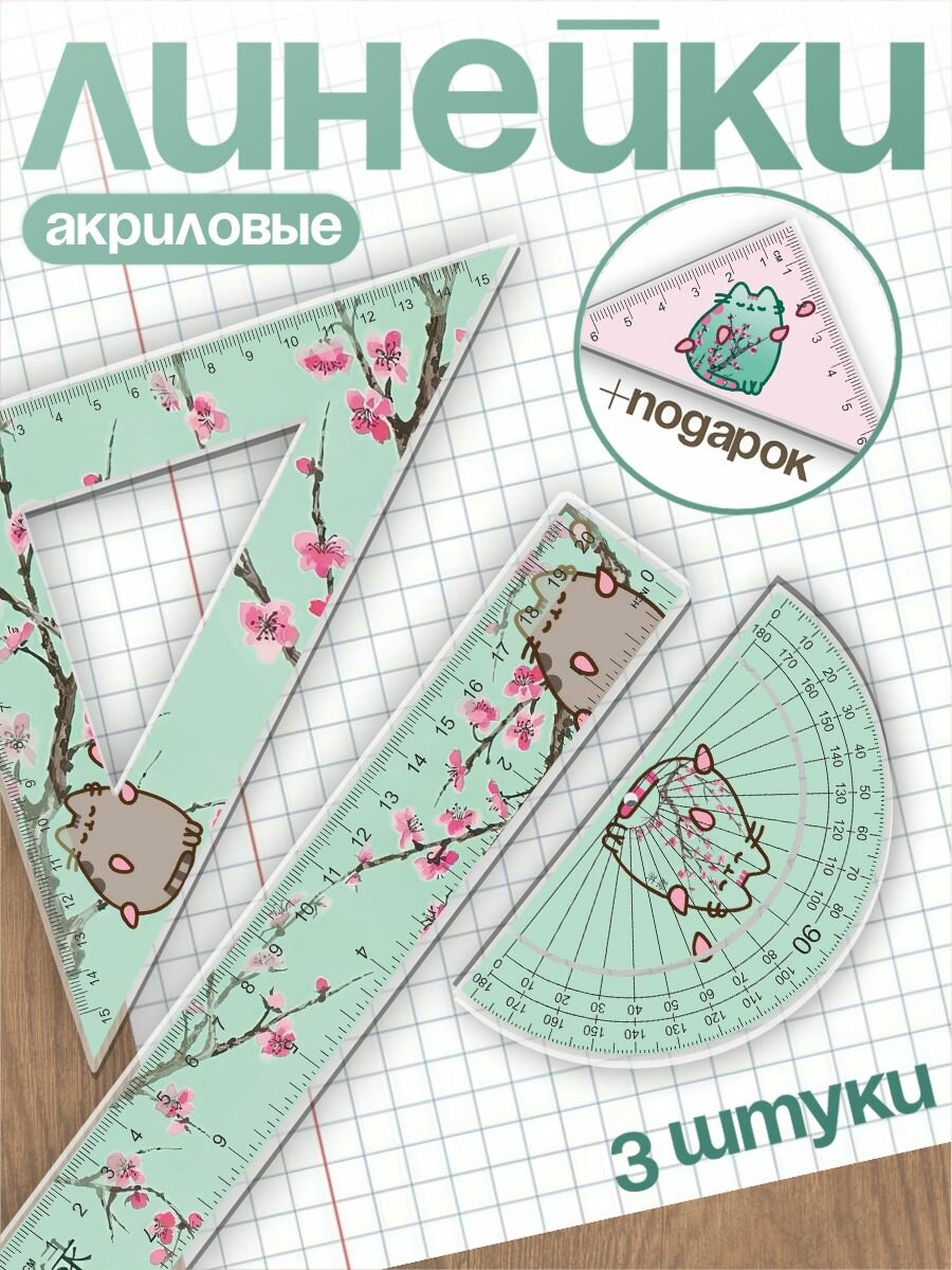 Канцелярия для школы набор линеек Arizona Сакура Эстетика