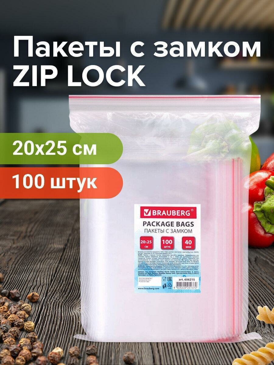 Пакеты с замком ZIP LOCK "зиплок", комплект 100 шт, 200х250мм, ПВД, толщ. 40 микр, BRAUBERG, 606215