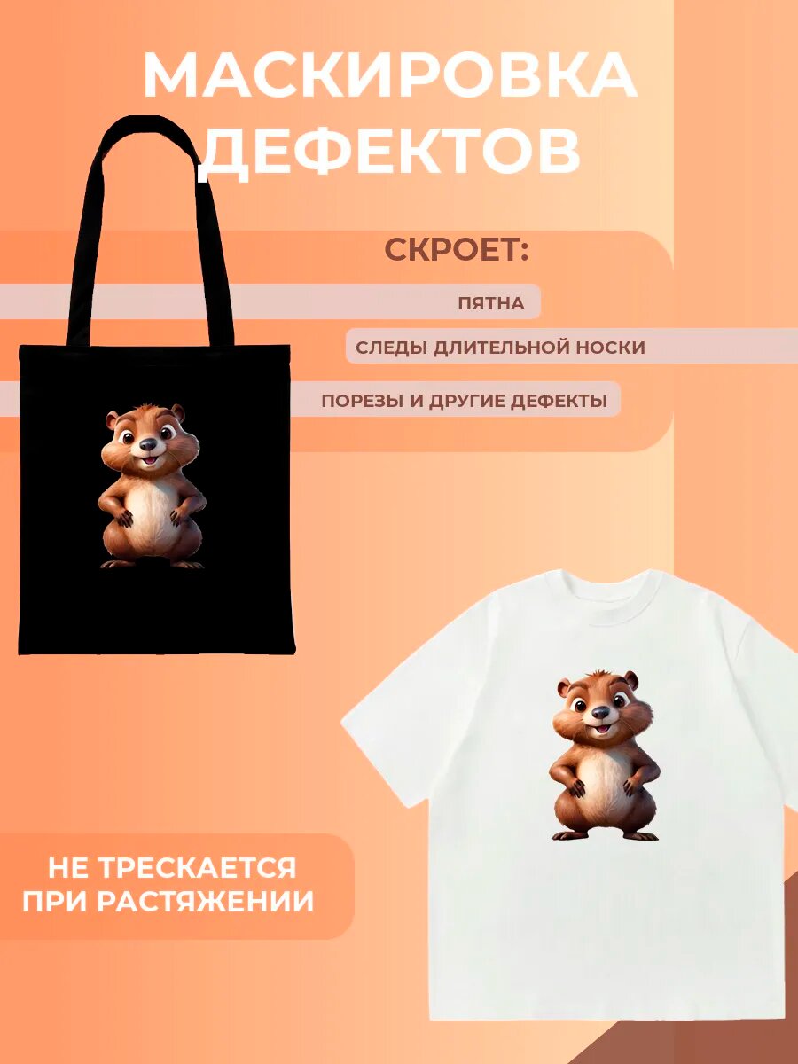 Термонаклейка на одежду — фото 1