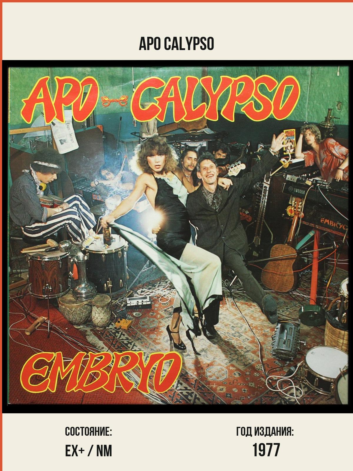 Виниловая пластинка April Embryo – Apo Calypso