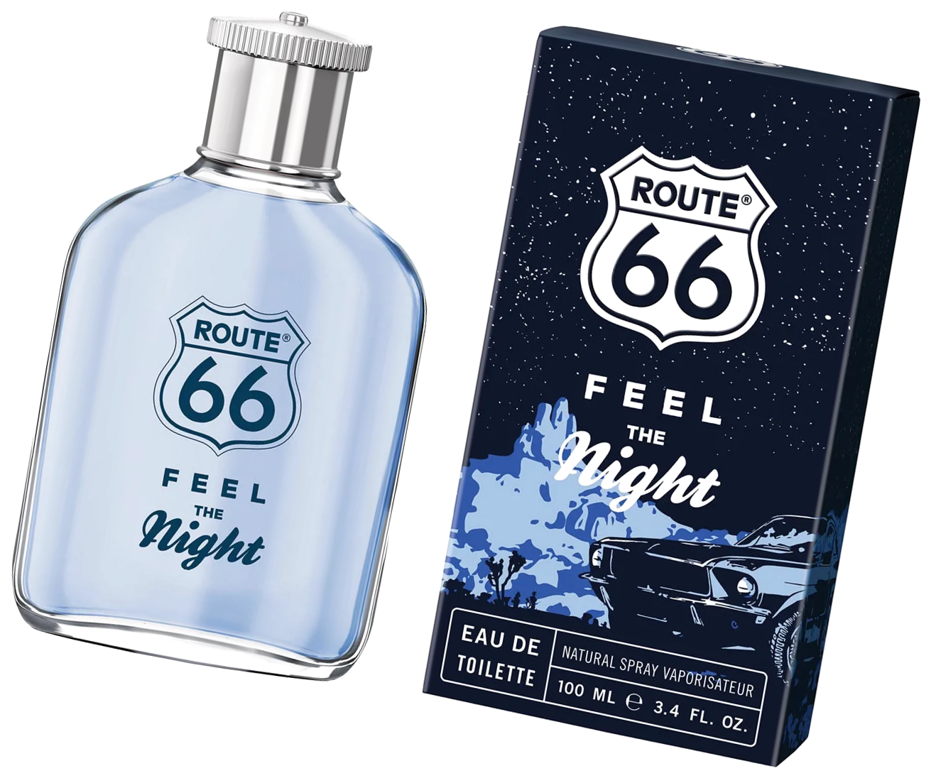 Мужская туалетная вода Рут 66 Фил Зе Найт 100 мл / Feel The Night