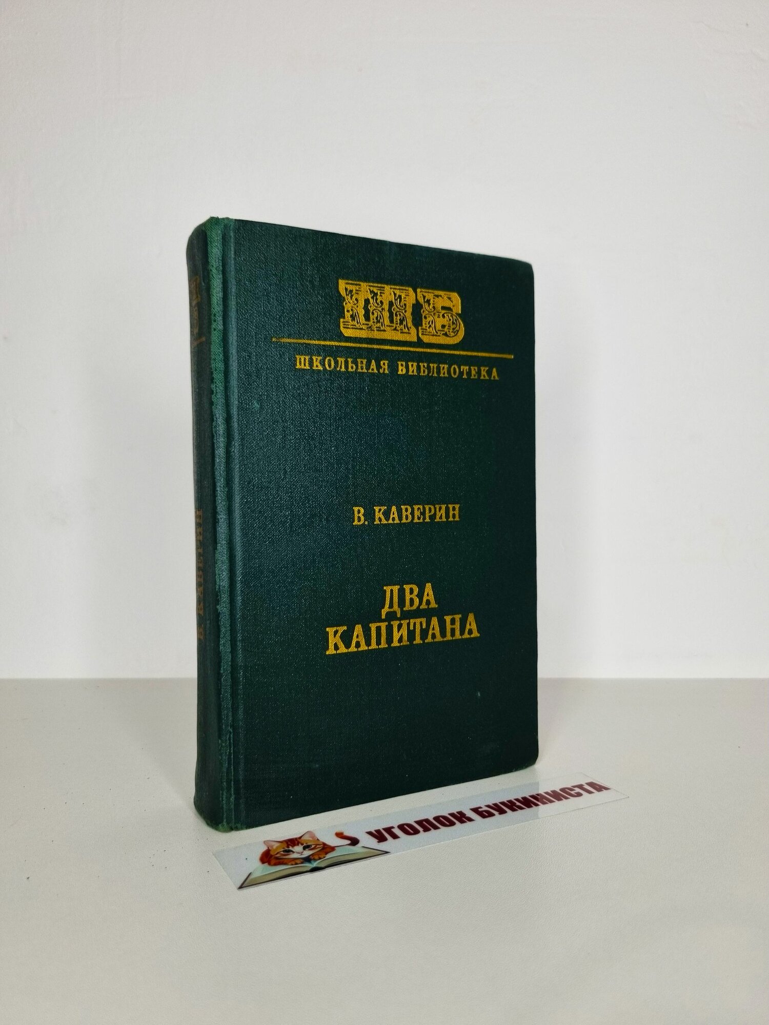 Школьная библиотека. Два капитана