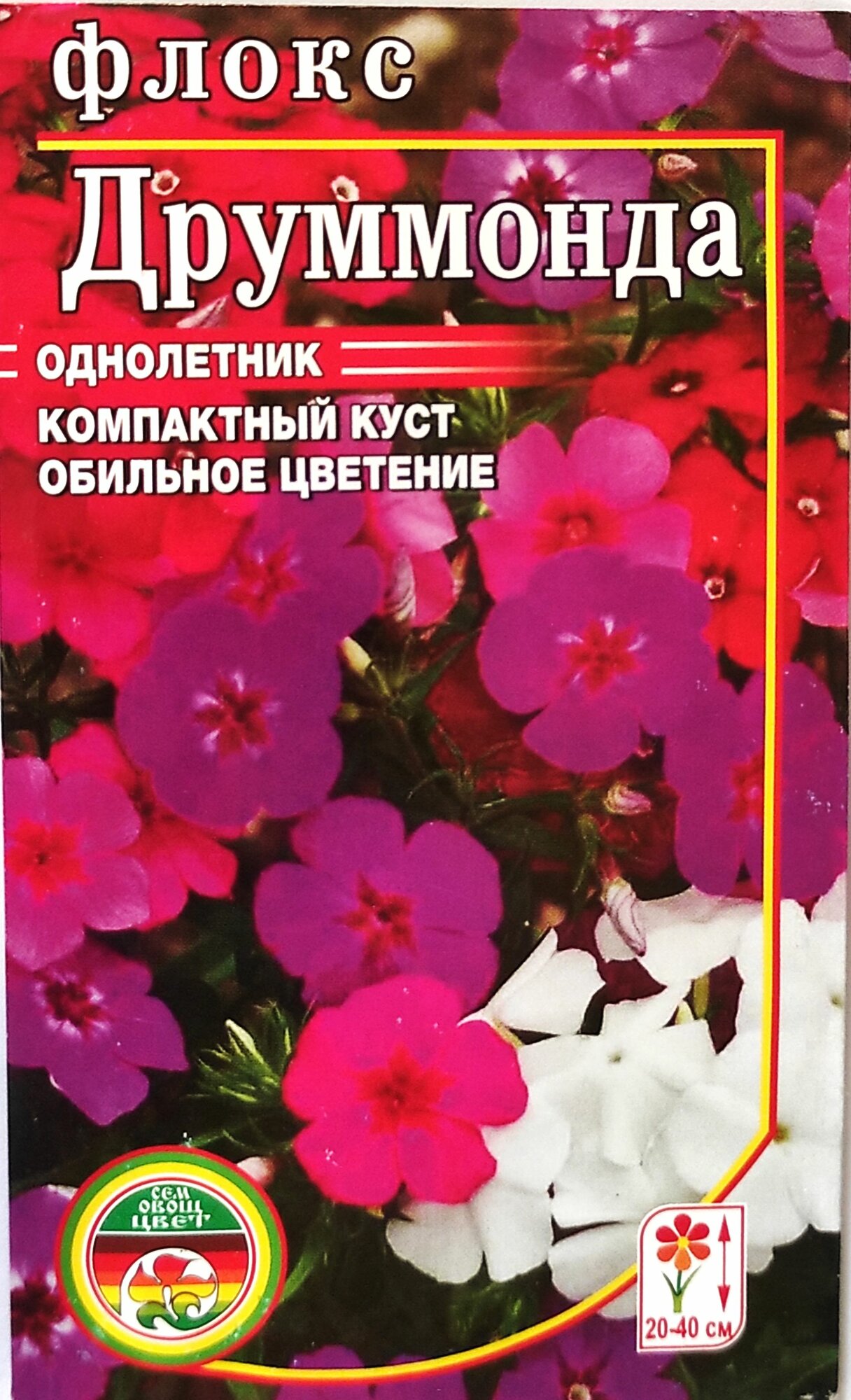 Семена Флокса "Друммонд", однолетние, пышные соцветия, обильное цветение, неприхотливые