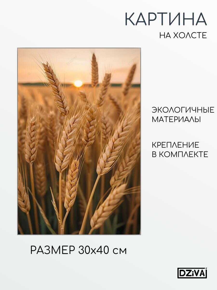 Картина на холсте Пшеничное поле на закате 30x40 см