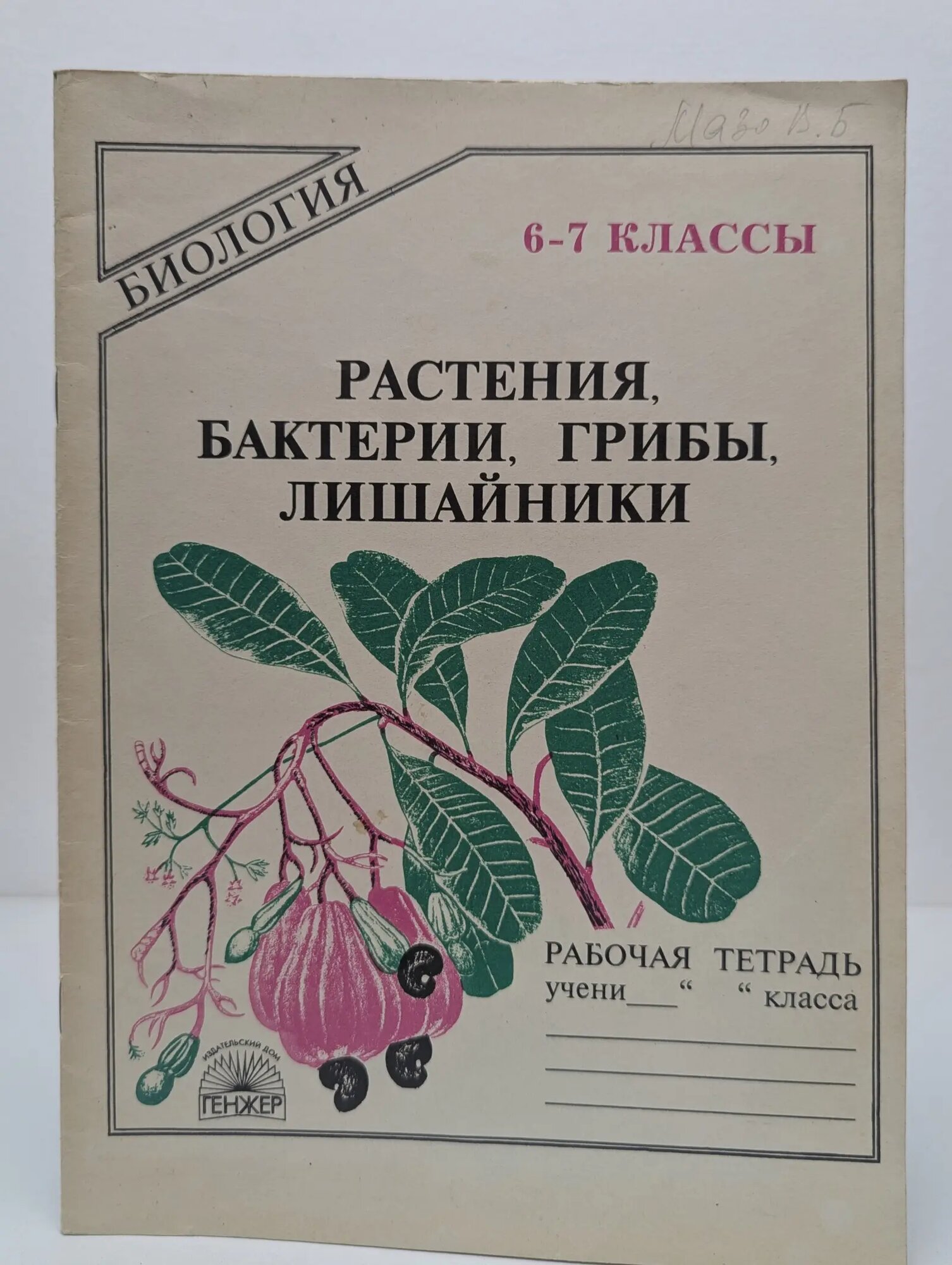Рабочая тетрадь по биологии для 6-7 классов. Растения. Бактерии. Грибы. Лишайники Пугал Нина Алексеевна 1995