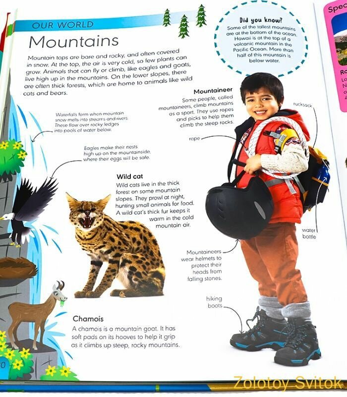 Книга "DK My First Encyclopedia", на английском языке, твердая обложка — фото 1