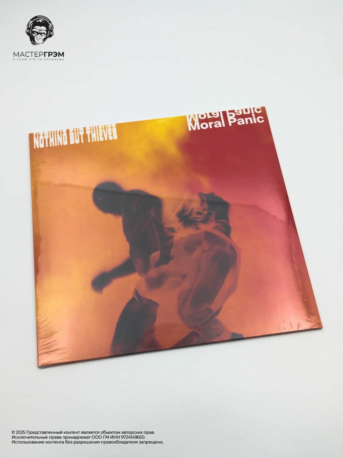 Виниловая пластинка Nothing But Thieves - Moral Panic (LP) 2020