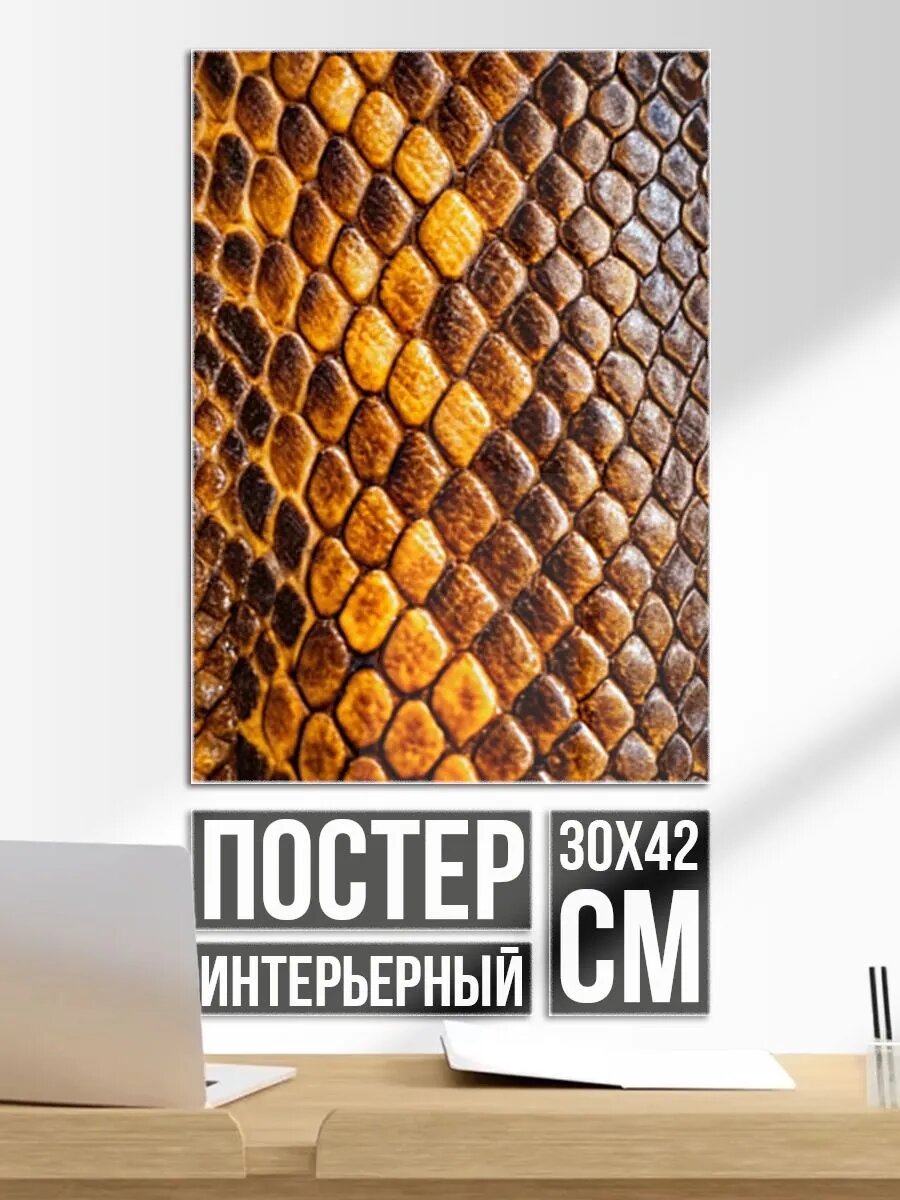 Постер на стену Текстурная кожа кобры