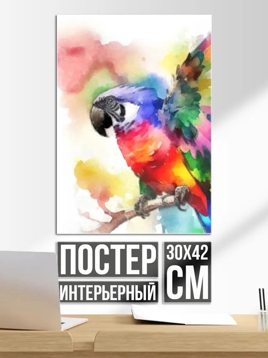 Постер на стену Разноцветный акварельный попугай