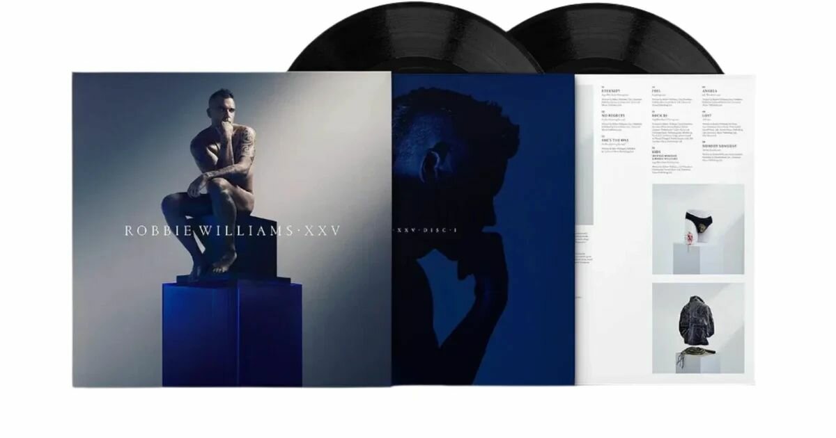 Виниловая пластинка Robbie Williams - XXV /> 2 x Vinyl, LP, Album