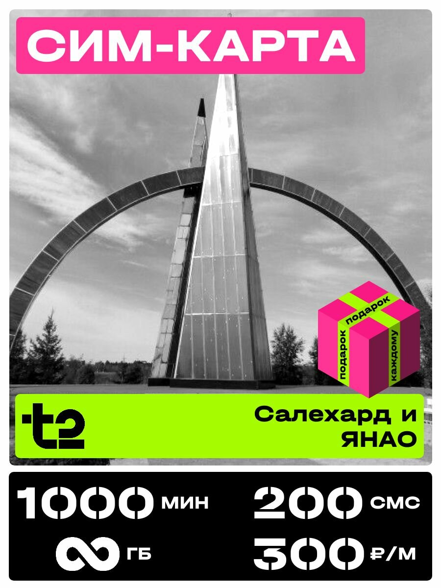 Сим карта теле 2 с безлимитным интернетом. t2 SIM-карта тариф Партнер М янао 1000 минут за 300 рублей в месяц.