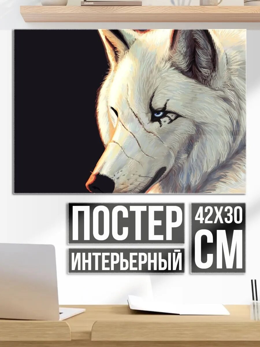Плакат постер Белый волк