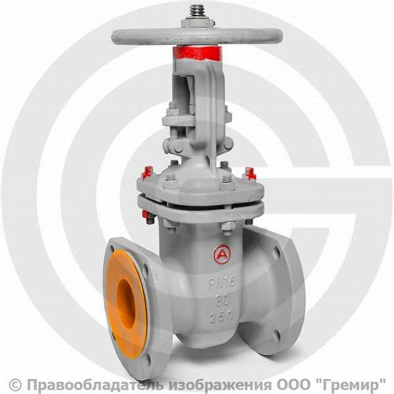 Задвижка 30с41нж (ЗКЛ-2-16-газ), Ду 80