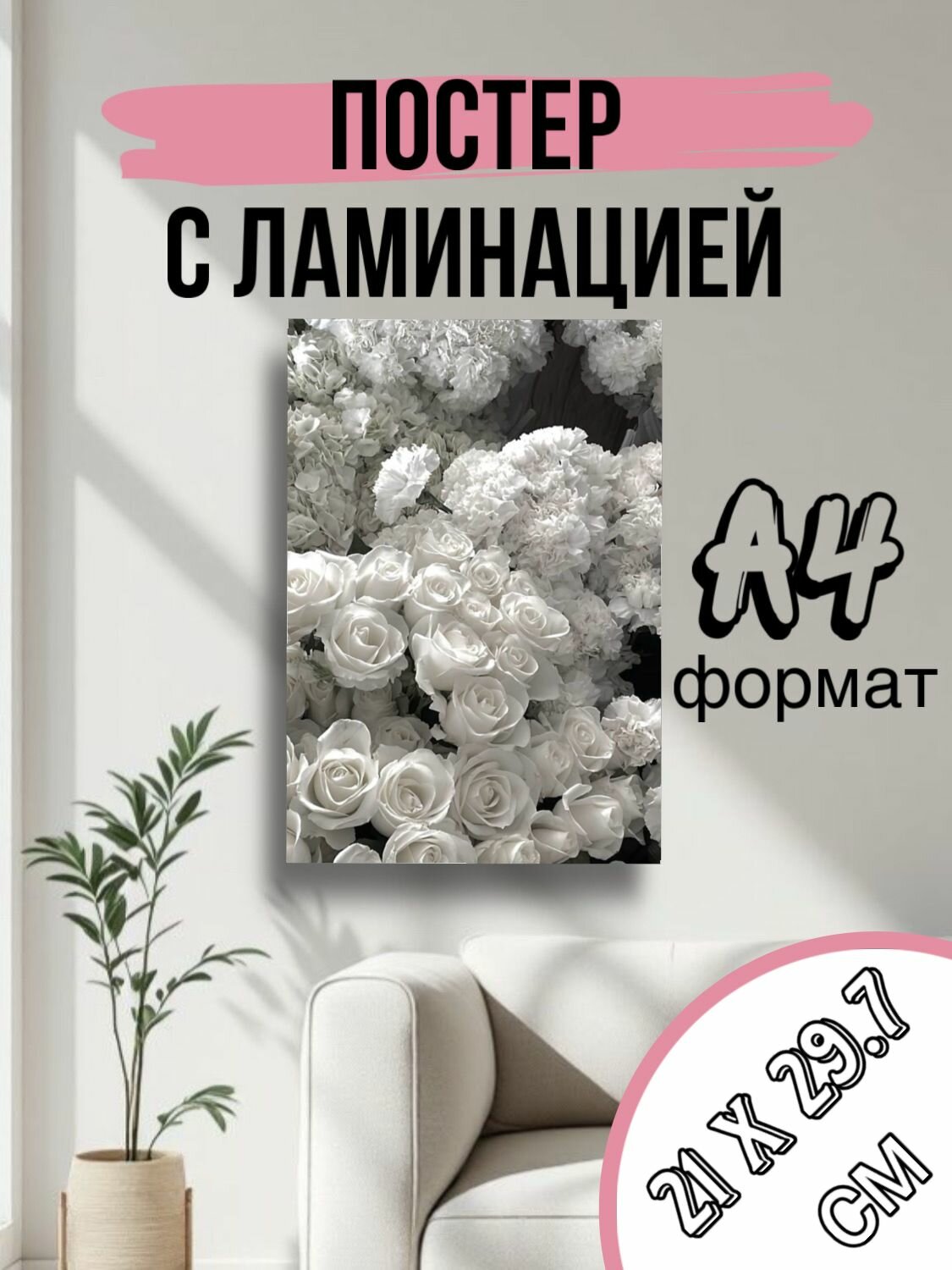 Постер