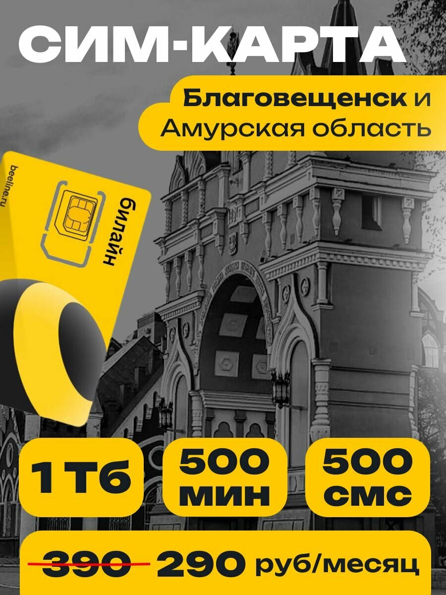 Сим-карта Билайн тариф Эксклюзивный Амурская область 1024 Гб + 500 минут за 290 руб.