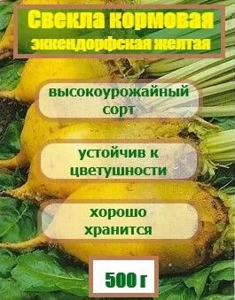 Свекла кормовая "Эккендорфская желтая", семена 500гр