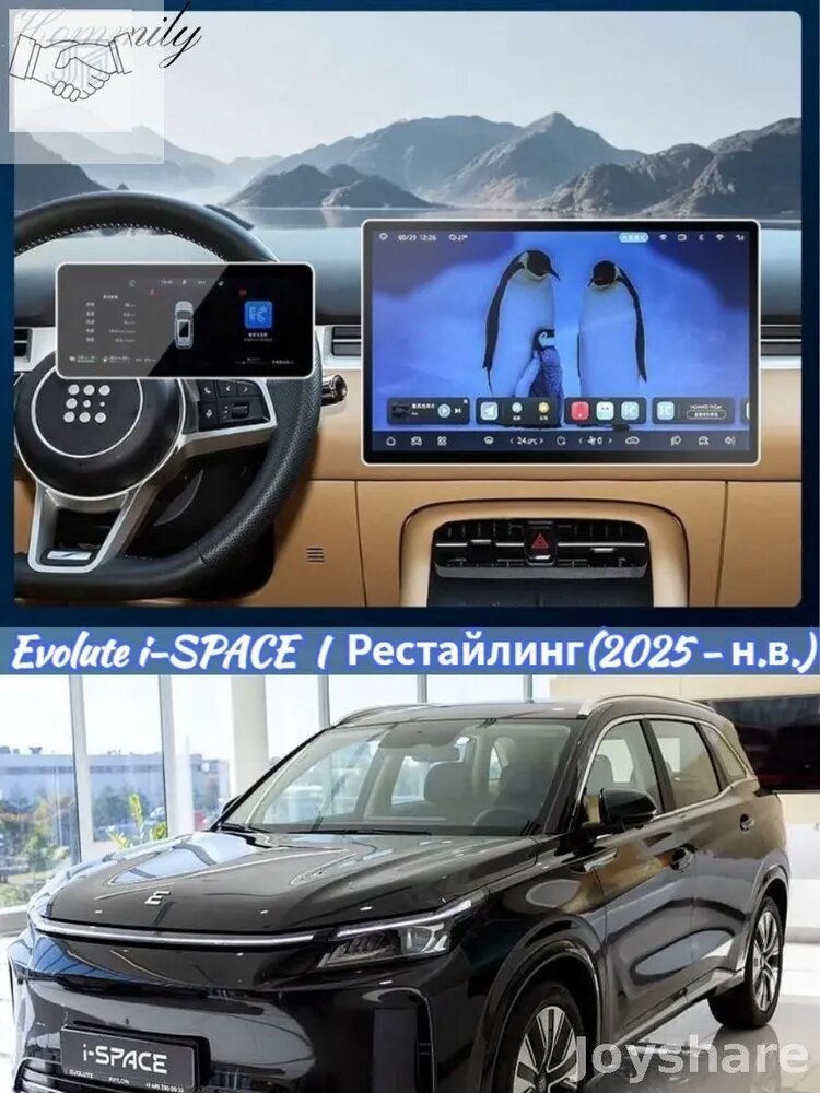 Evolute i-SPACE Пленка автомобильная