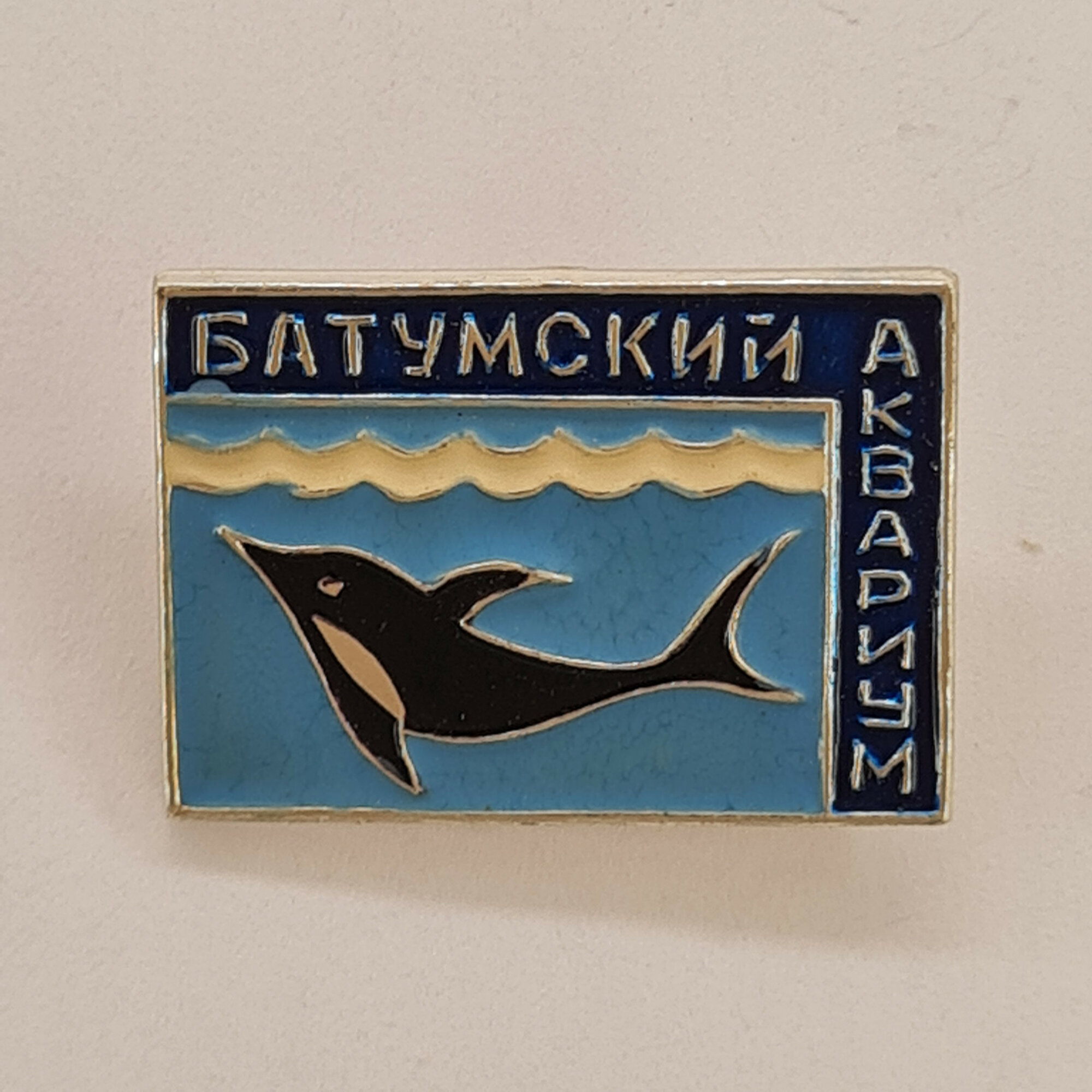 Значок СССР. Батумский аквариум, Батуми, дельфин, море. Винтажный значек.
