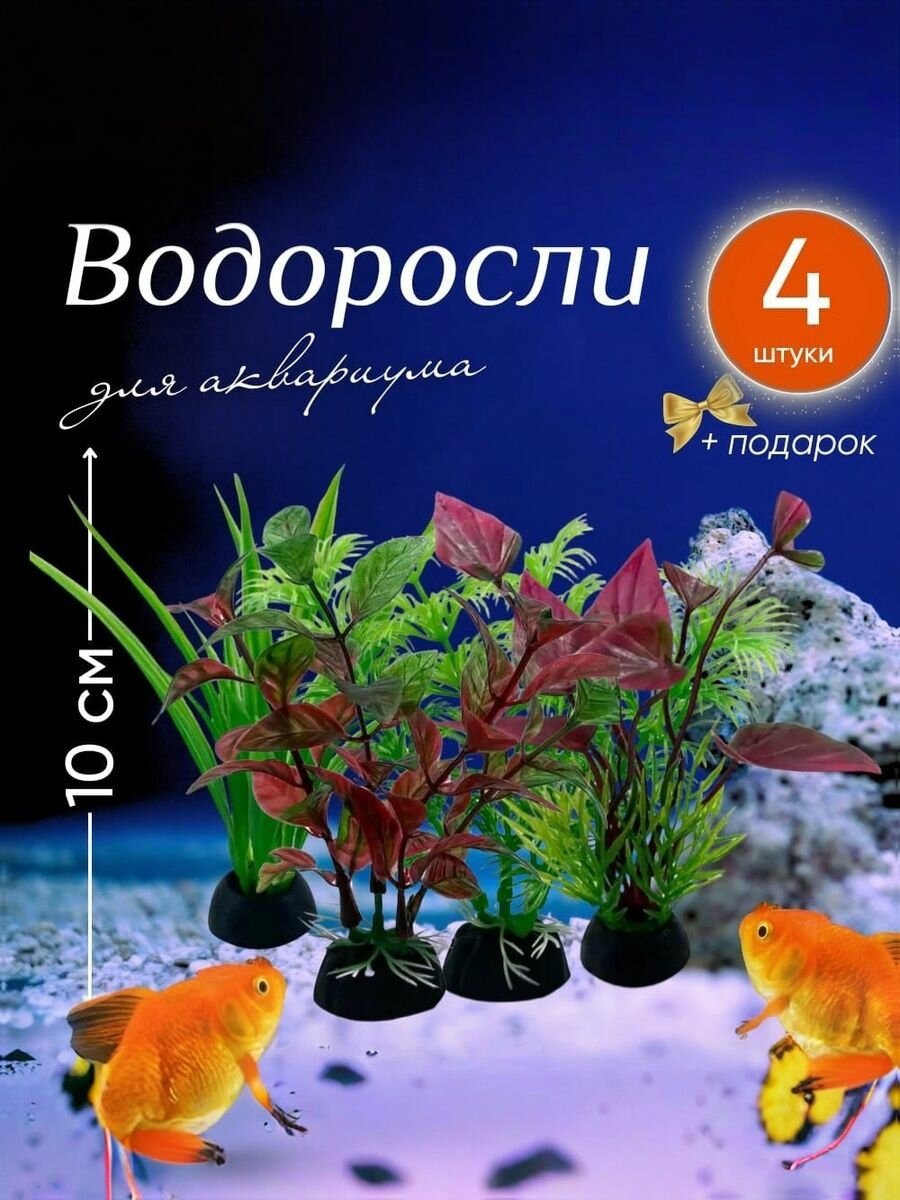 Набор 4 в 1 Растения для аквариума водоросли высота 10 см + подарок / Растения аквариумные искусственные / водоросли