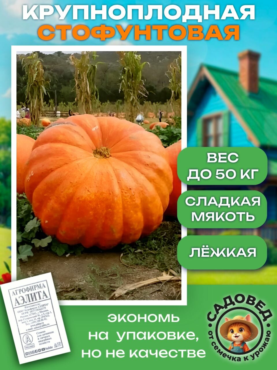 Тыква крупноплодная Стофунтовая 6шт семян, семена тыквы для посадки Агрофирма Аэлита крупноплодная тыква семена для посадки