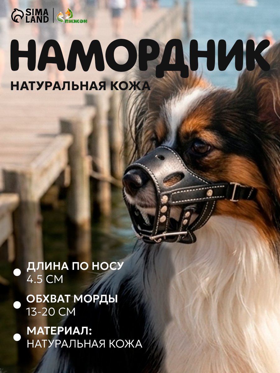 Намордник из прессованной кожи регулируемый, №1, ДН 4,5 см, ОМ 13-20 см, чёрный