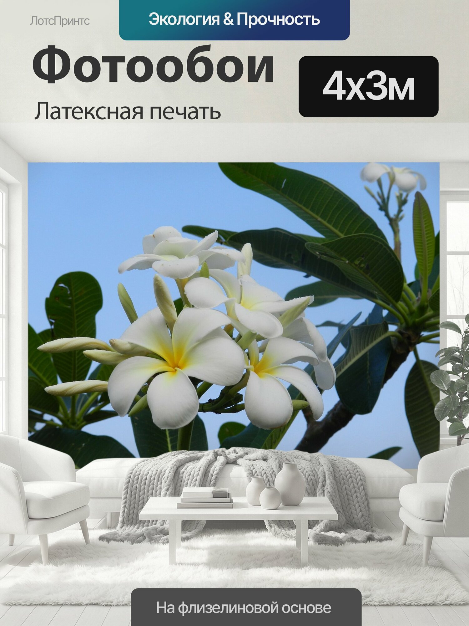 Фотообои моющиеся ударопрочные "Ароматные цветы, белые цветы, франжипани" 400x300 см. латексная печать