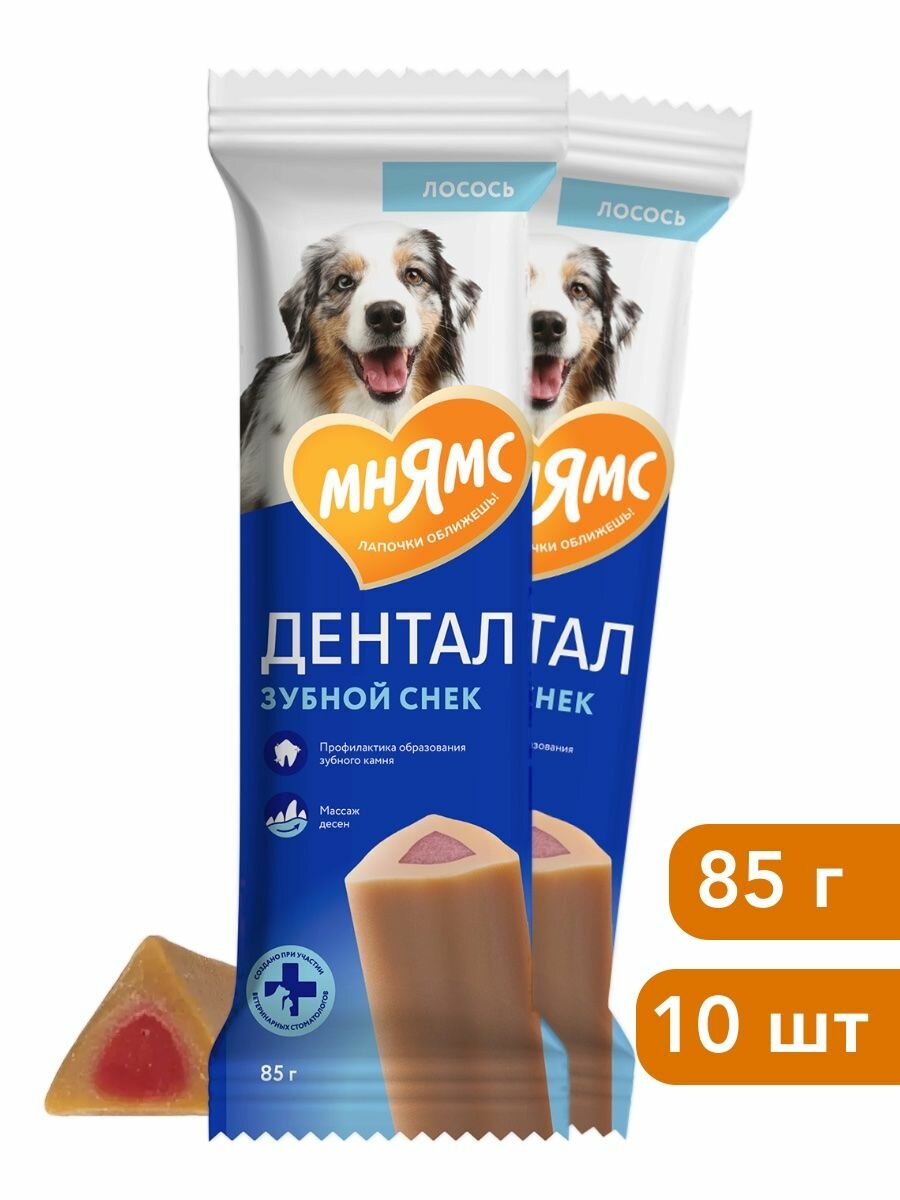 Мнямс дентал Лакомство для собак "Зубной снек" с лососем - 10 шт*85 г