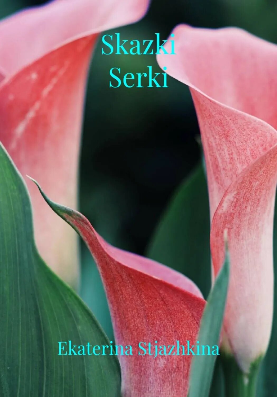 Skazki Serki [Цифровая книга]