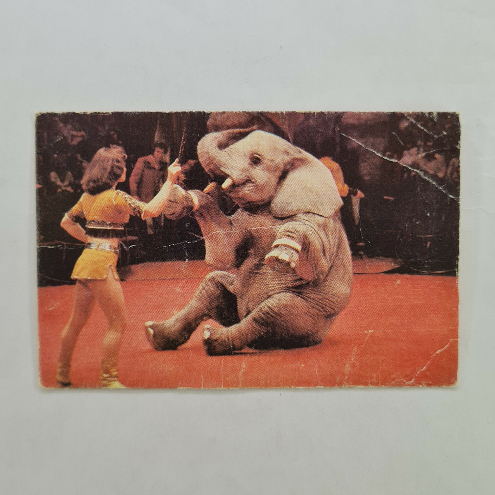 Карманный календарик СССР 1989. Советский цирк, слон и дрессировщица. Советский календарь