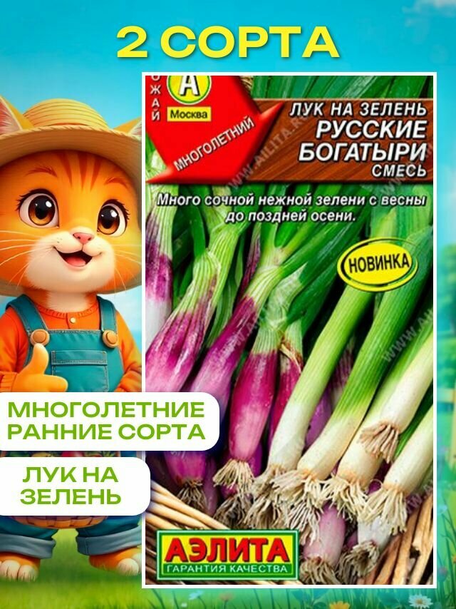 Лук на зелень "Русские богатыри" смесь сортов, Семена лука для салата Агрофирма Аэлита салатный зеленый лук смесь семена