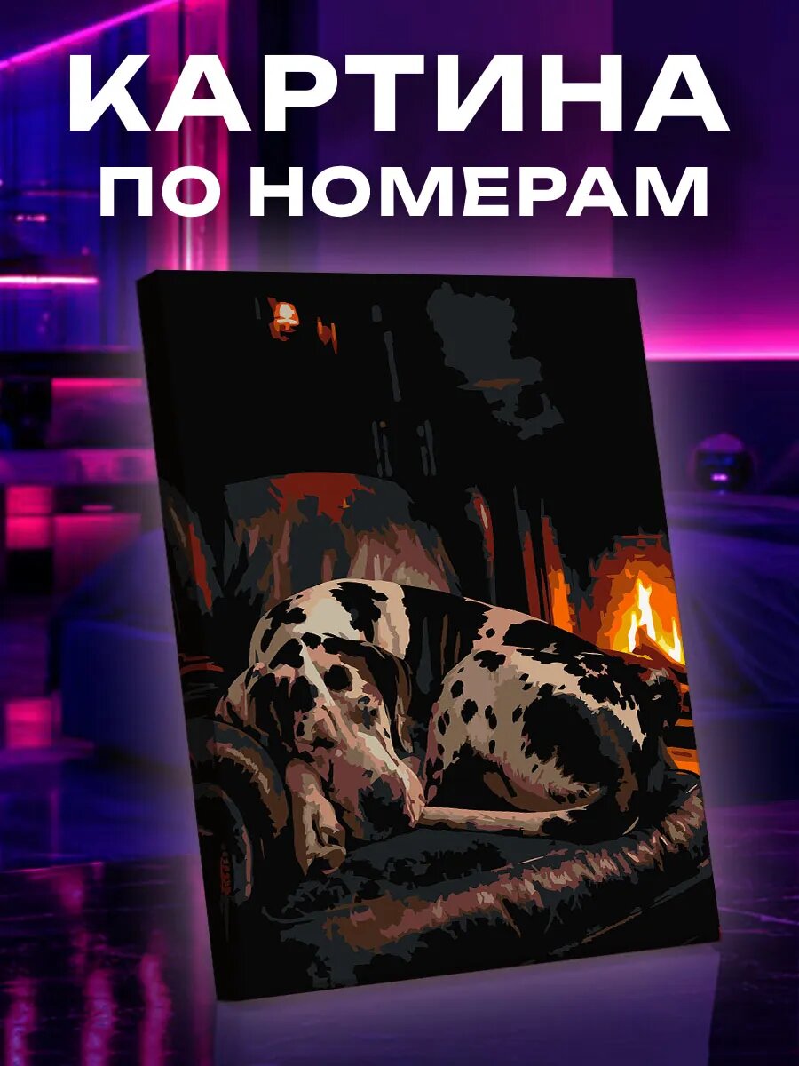 Картина по номерам Сон у камина