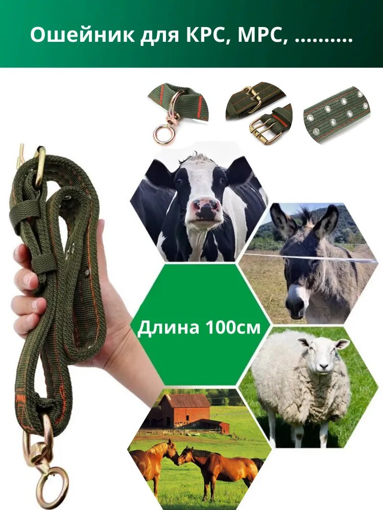 Ошейник для Скота, Коров, Телят, Лошадей, ошейник для КРС, МРС,100 см/48 мм с вертушкой , 4 слоя нейлона