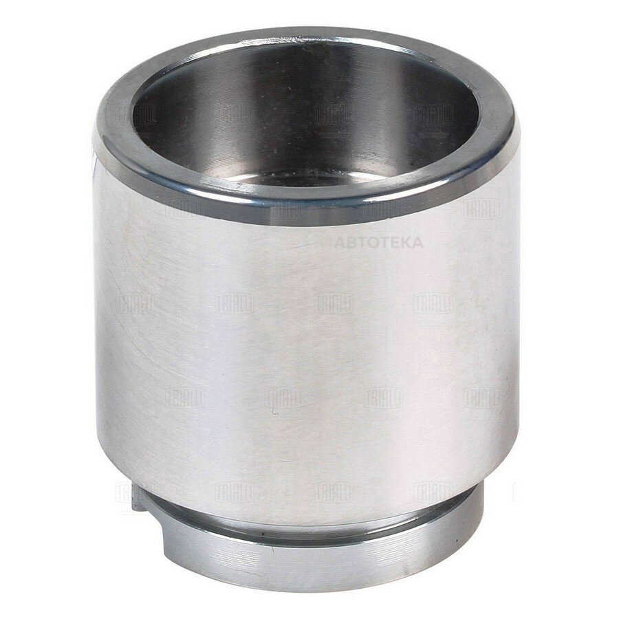Поршень зад. суппорта для а/м Ford Transit (06-) d 48mm (RCF 105062) TRIALLI RCF105062