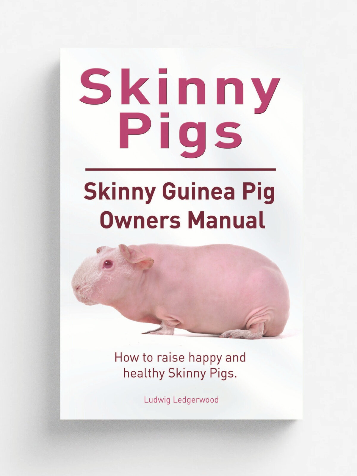 Skinny Pig. Skinny Guinea Pigs Owners Manual. How to raise happy and healthy Skinny Pigs.