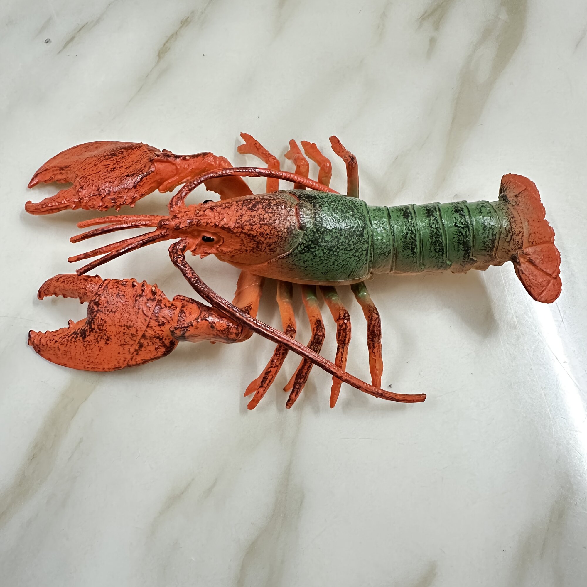 Игрушечная модель лобстера Lobste-HY716-5, морское животное для детей