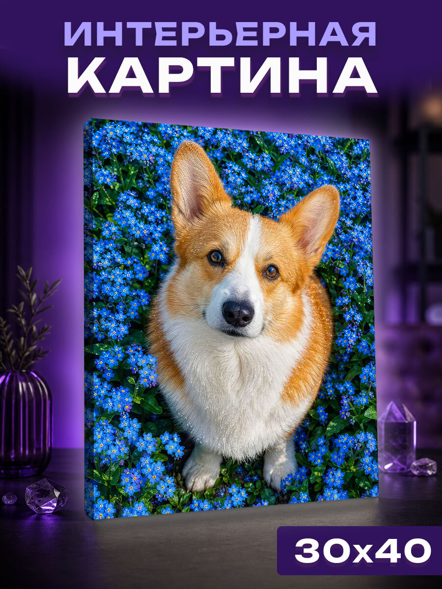 Интерьерная картина Корги на ковре из лесных незабудок