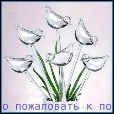 Автополив 2.7 см, 6 шт, цвет прозрачный для полива