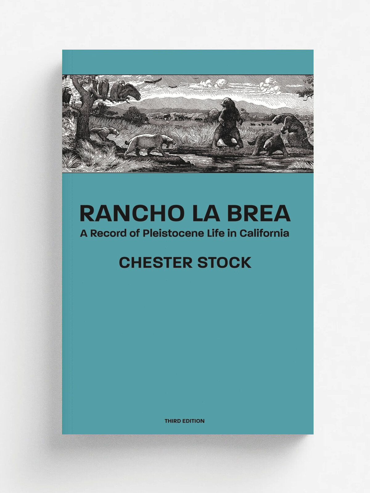 Rancho La Brea. A Record of Pleistocene Life in California, Third Ed.