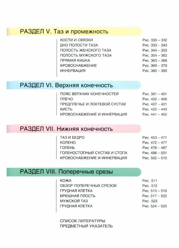 Атлас анатомии человека — фото 1