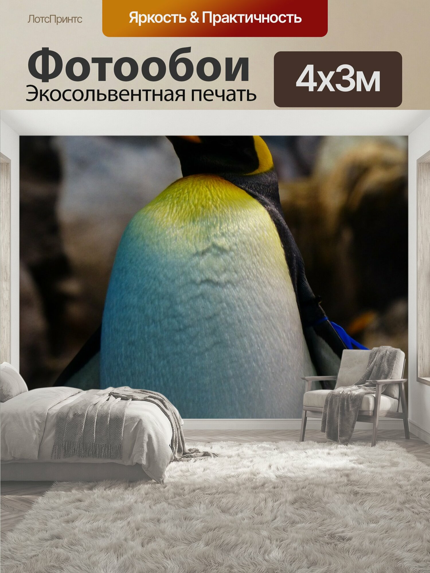 Фотообои "Королевский пингвин, пингвин, aptenodytes patagonicus" 400x300 см. экосольвентная печать