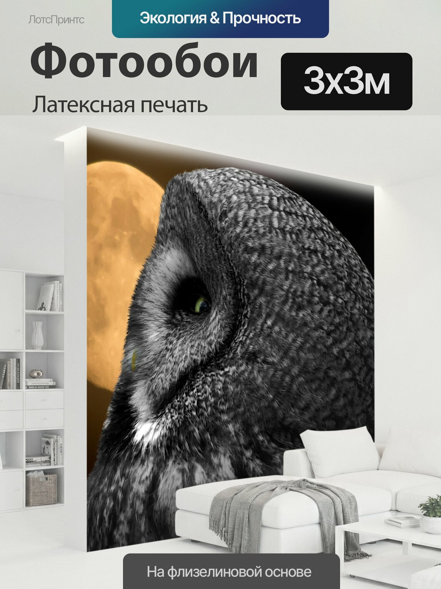 Фотообои моющиеся ударопрочные "Сова, ночная птица, барт сова" 300x300 см. латексная печать