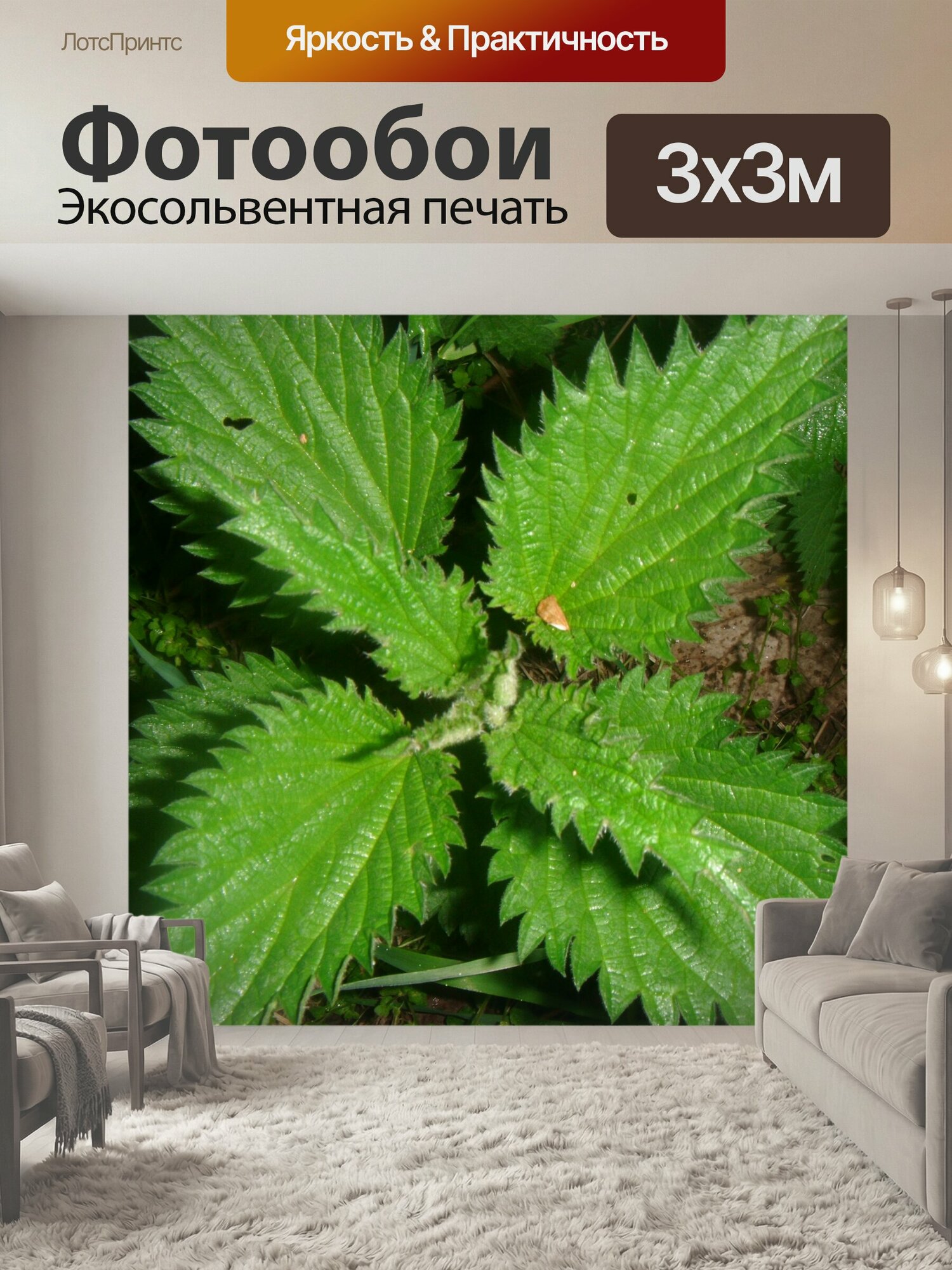 Фотообои "Общие крапивы Молодые крапива по весне крапива жалящие крапивы двудомной растения трава зелень зеленый весна свежие макро зум листья" 300x300 см. экосольвентная печать