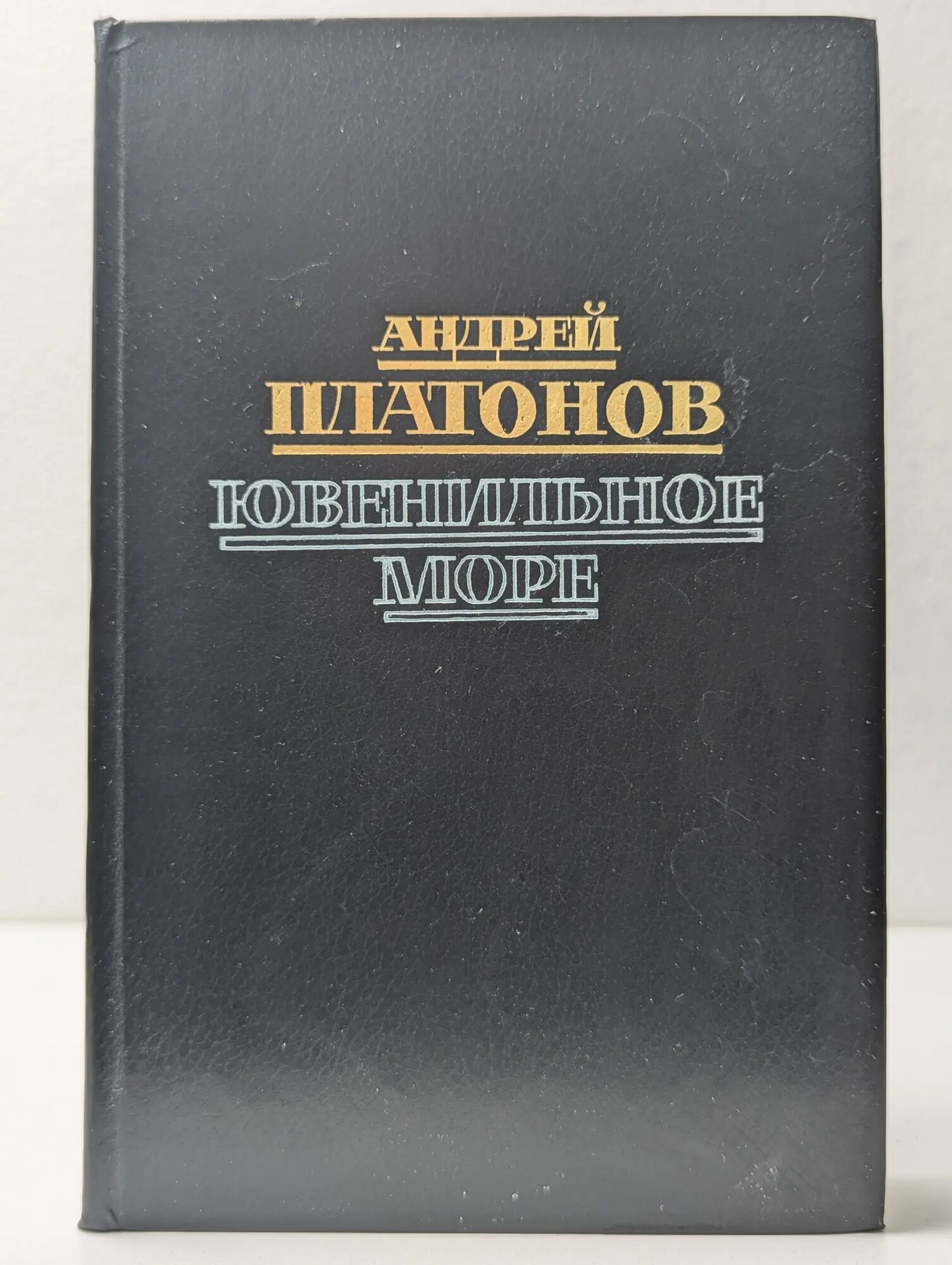 Ювенильное море Платонов Андрей Платонович 1988