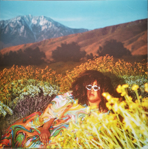 Виниловая пластинка Brittany Howard - What Now