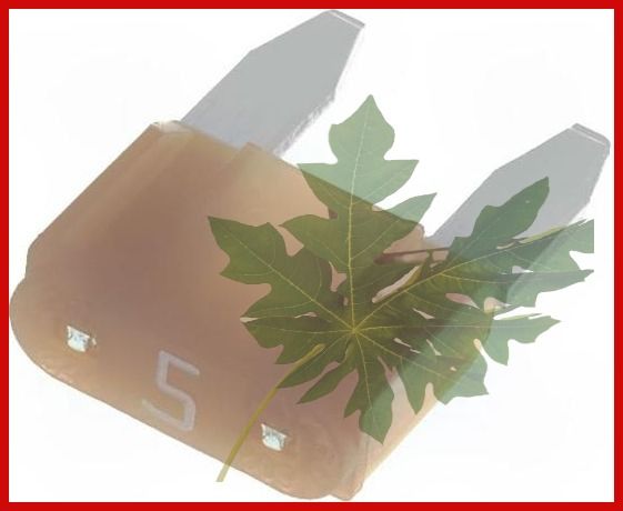 Предохранитель LITTELFUSE 0297005. WXNV Предохранитель: плавкая вставка 5А 32В автомобильный 10,9мм 1шт