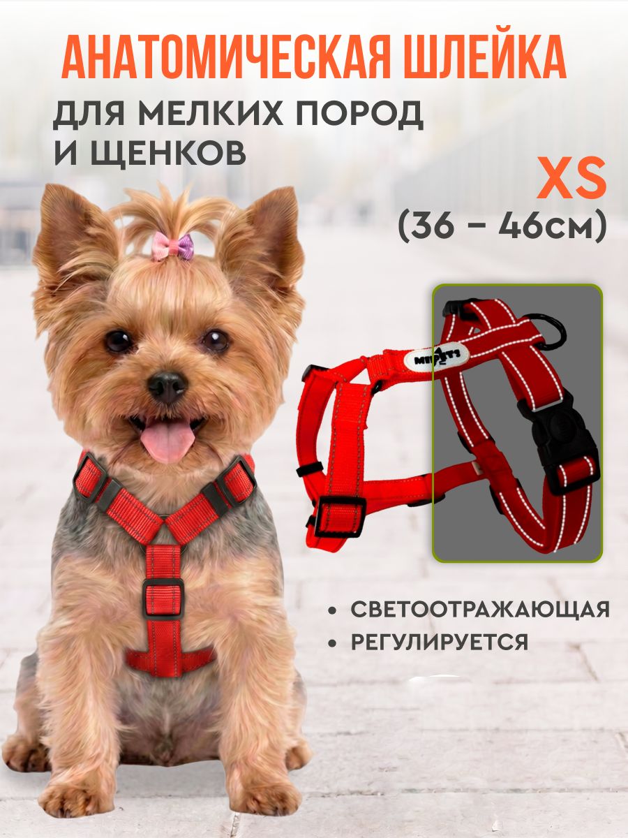 Анатомическая регулируемая шлейка для собак мелких пород и щенков MiloPets, XS