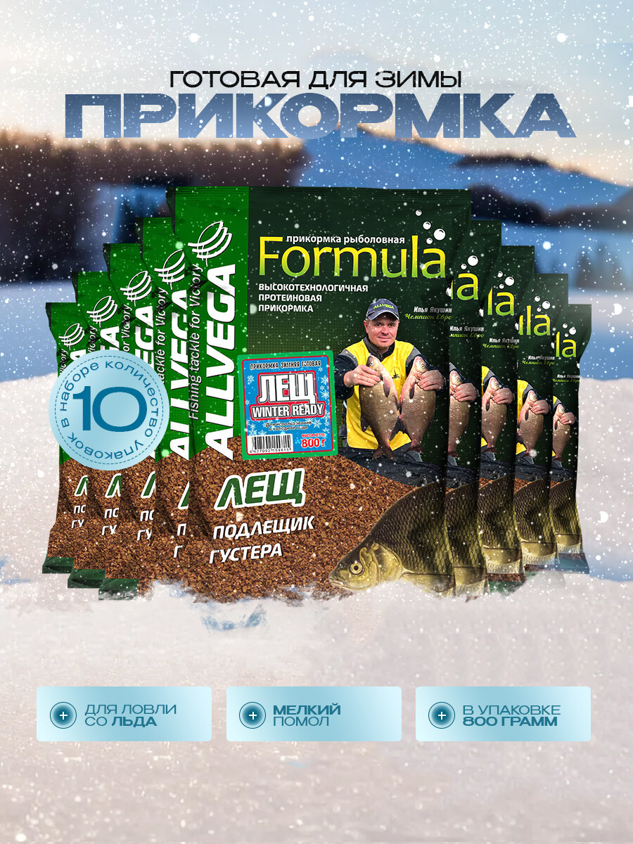 Прикормка для зимней рыбалки готовая ALLVEGA Formula Winter Ready лещ 10 штук по 0.8 кг