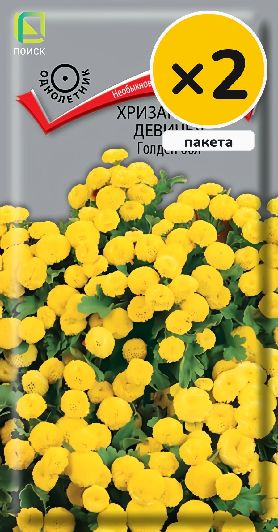 Семена хризантемы девичьей Голден бол, 0,05 г, 2 пакета, Поиск, однолетник, высота до 25 см