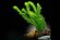 Элодея (Elodea)